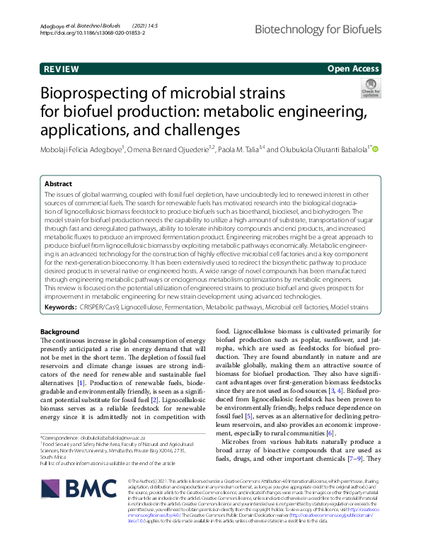 (PDF) Bioprospecting of microbial strains for biofuel production ...