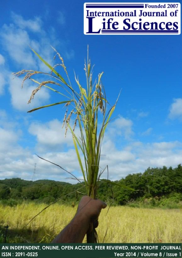 (PDF) The microbiology of Kocho: An Ethiopian Traditionally Fermented ...