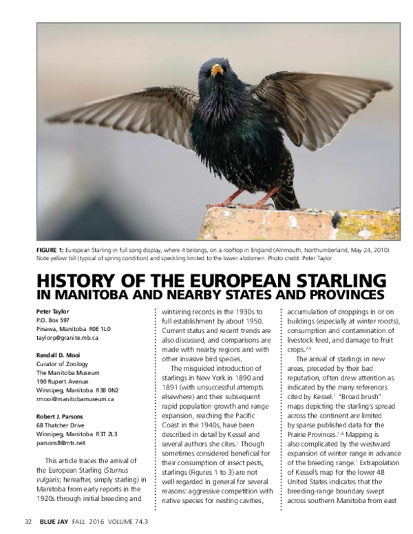 (PDF) History of the European Starling in Manitoba and Nearby States ...