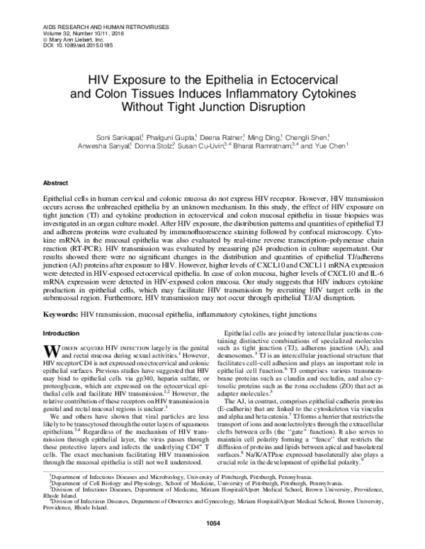 (PDF) HIV exposure to epithelial cells in ectocervical and colon ...