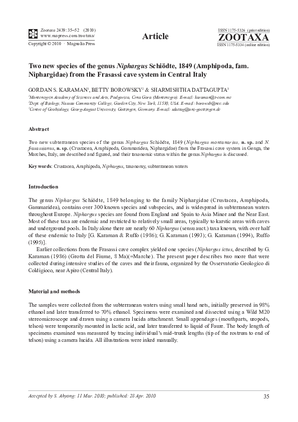 (PDF) Two new species of the genus Niphargus Schiödte, 1849 (Amphipoda ...
