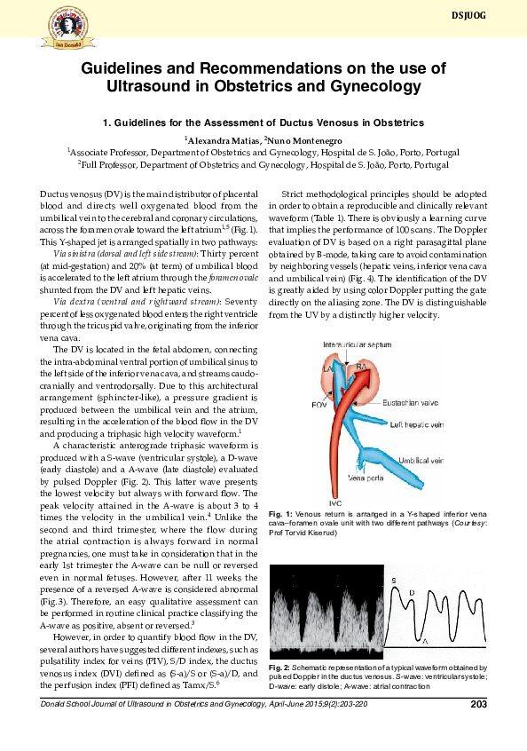 (PDF) Guidelines and Recommendations on the use of Ultrasound in ...