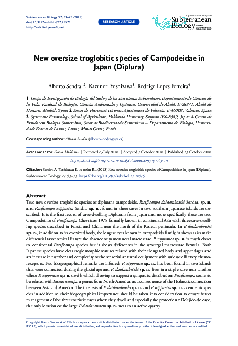 (PDF) New oversize troglobitic species of Campodeidae in Japan (Diplura)