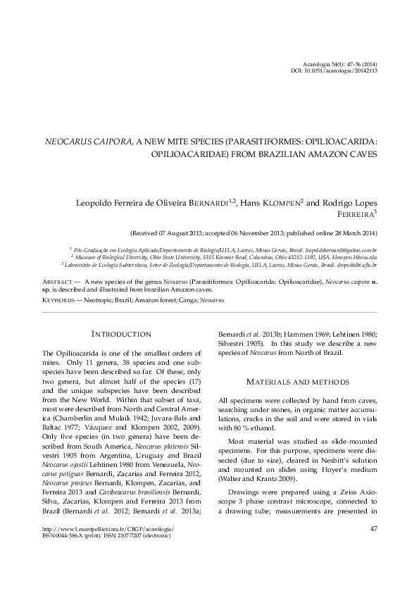 (PDF) Neocarus caipora, a new mite species (Parasitiformes ...