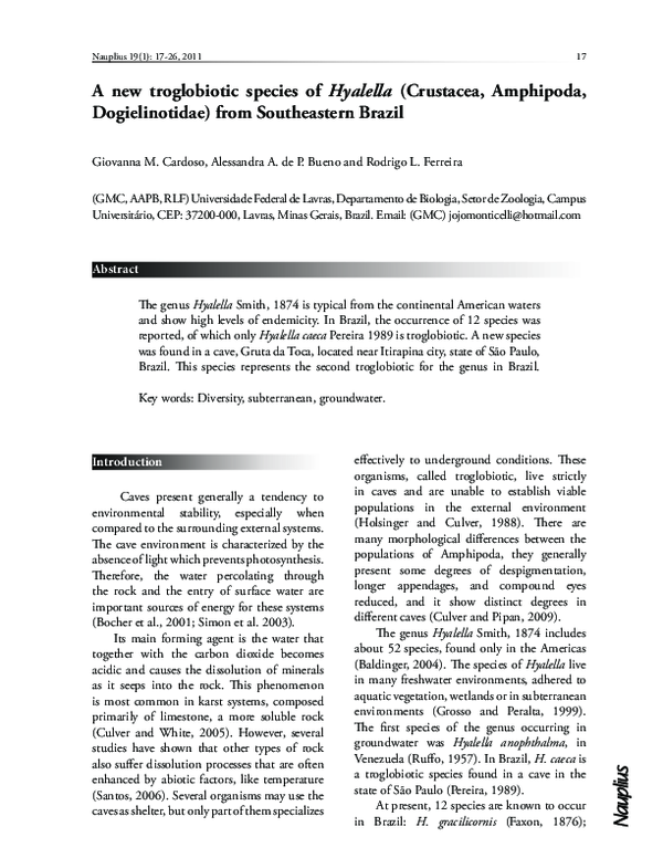 (PDF) A new troglobiotic species of Hyalella (Crustacea, Amphipoda ...
