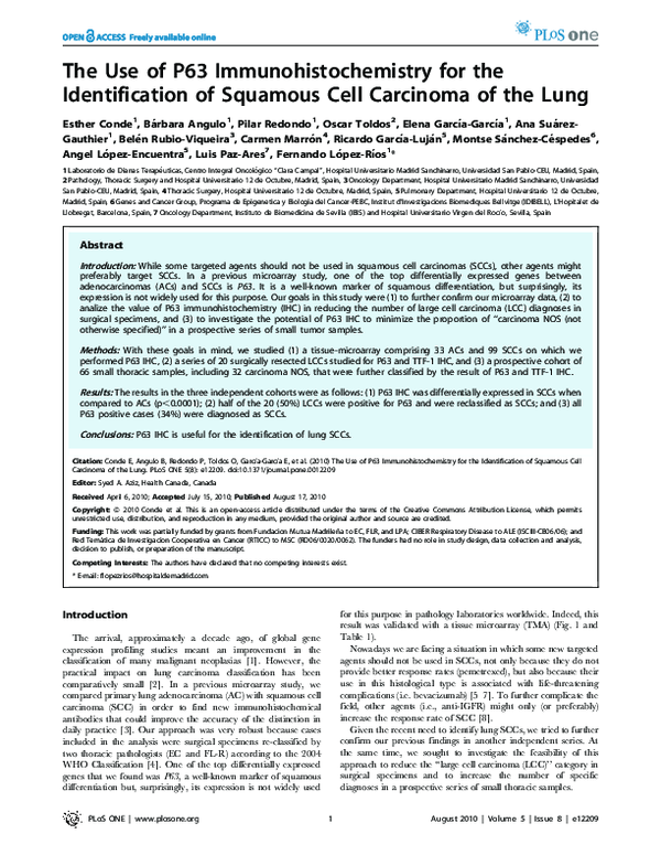 (PDF) The Use of P63 Immunohistochemistry for the Identification of ...