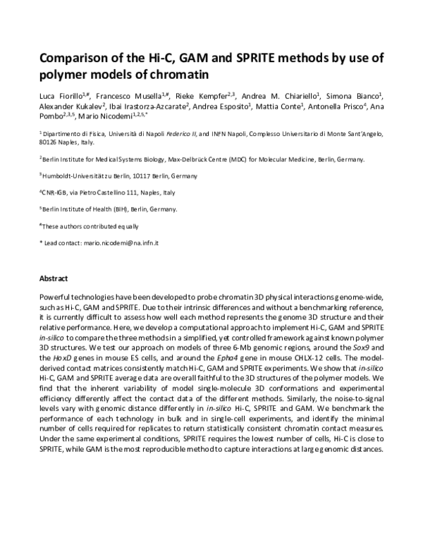 (PDF) Comparison of the Hi-C, GAM and SPRITE methods by use of polymer ...