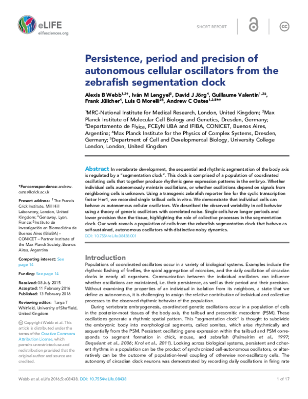 (PDF) Persistence, period and precision of autonomous cellular oscillators from the zebrafish ...