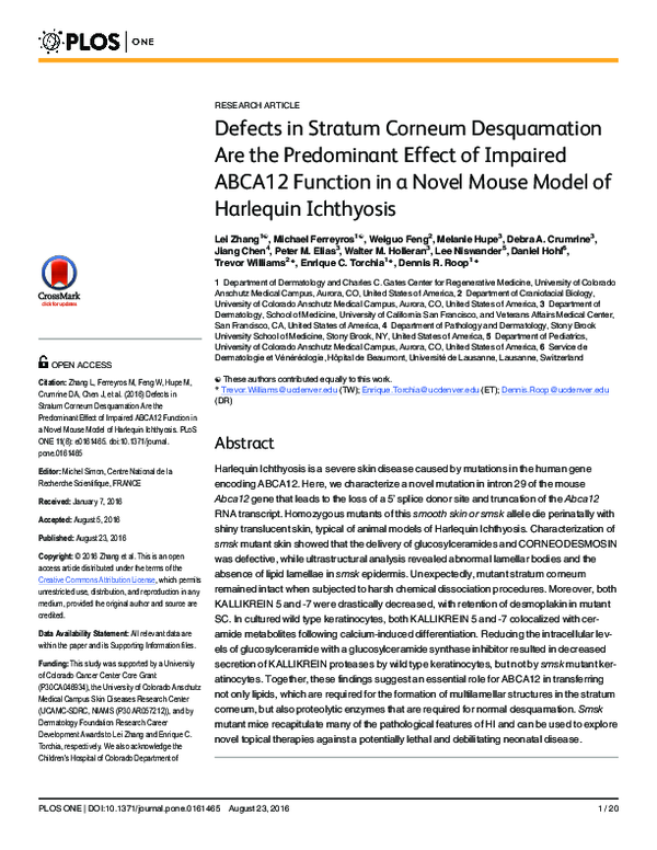 (PDF) Defects in Stratum Corneum Desquamation Are the Predominant ...