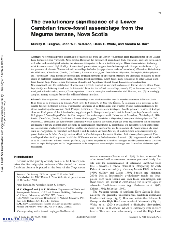 (PDF) The evolutionary significance of a Lower Cambrian trace-fossil ...