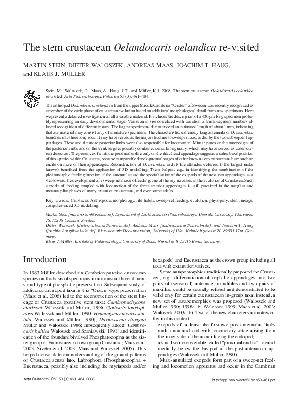 (PDF) The Stem Crustacean Oelandocaris oelandica Re-Visited