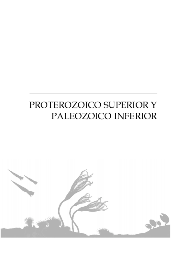 (PDF) Los fósiles del Proterozoico Superior y Paleozoico Inferior de ...