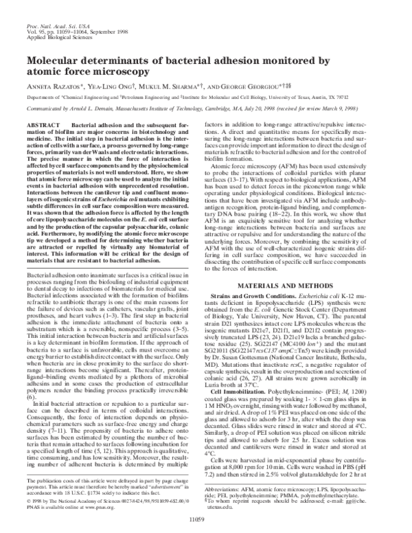 (PDF) Molecular determinants of bacterial adhesion monitored by atomic ...