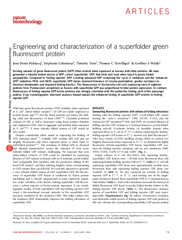 (PDF) Engineering and characterization of a superfolder green ...
