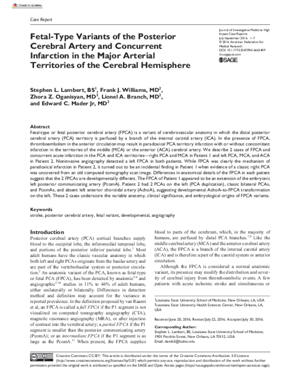 (PDF) Fetal-Type Variants of the Posterior Cerebral Artery and ...