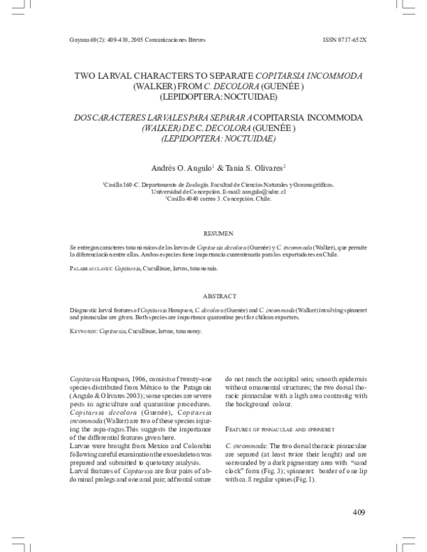 (PDF) Two Larval Characters to Separate Copitarsia Incommoda (Walker ...