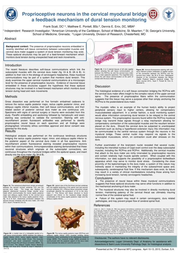 (PDF) Proprioceptive neurons in the cervical myodural bridge: a ...