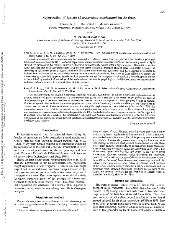 (PDF) Suberization of tomato ( Lycopersicon esculentum ) locule tissue