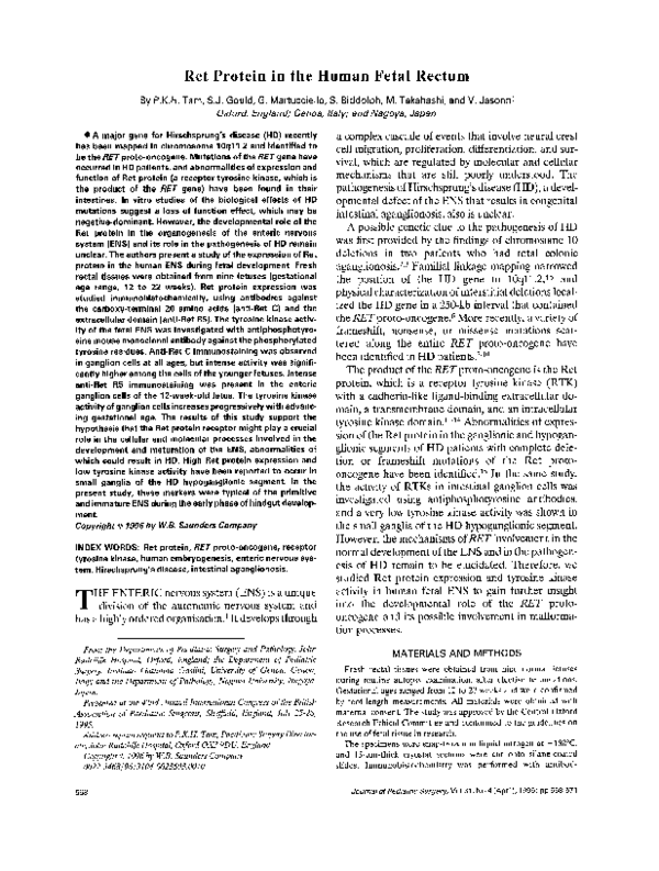 (PDF) Ret protein in the human fetal rectum