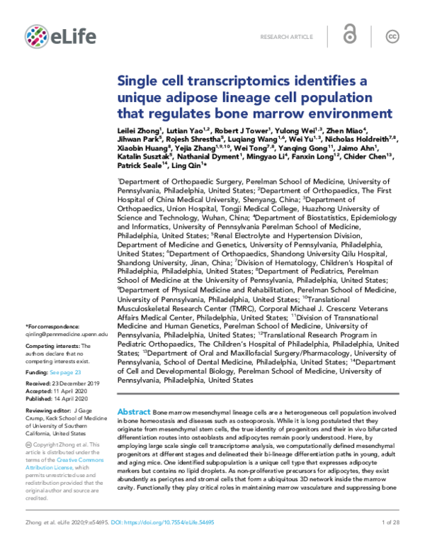 (PDF) Single cell transcriptomics identifies a unique adipose lineage ...