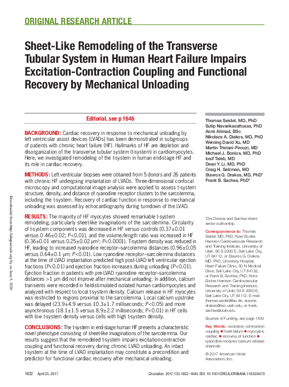 (PDF) Sheet-Like Remodeling of the Transverse Tubular System in Human ...