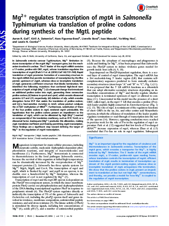 (PDF) Mg2+regulates transcription ofmgtAinSalmonellaTyphimurium via ...