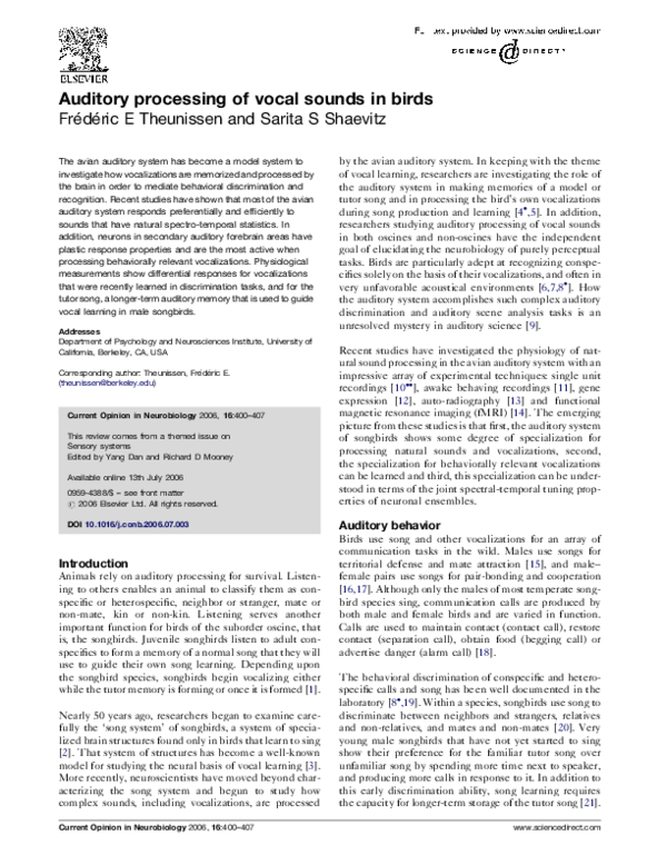 (PDF) Auditory processing of vocal sounds in birds