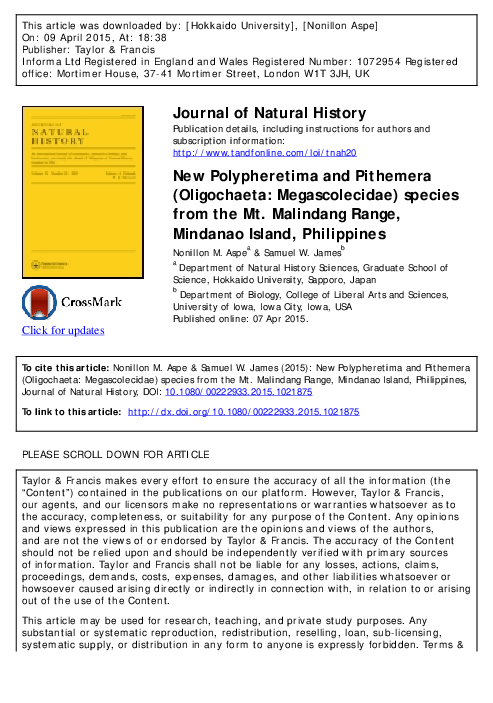 (PDF) New Polypheretima and Pithemera (Oligochaeta: Megascolecidae ...