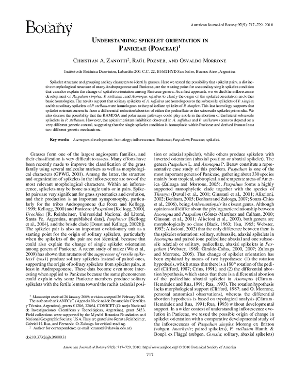 (PDF) Understanding spikelet orientation in Paniceae (Poaceae)