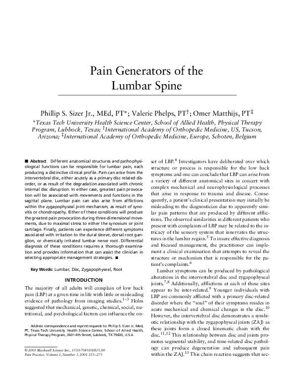 (PDF) Pain generators of the lumbar spine