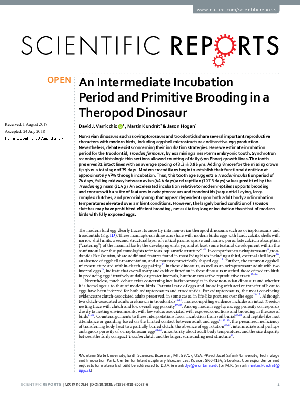 (PDF) An Intermediate Incubation Period and Primitive Brooding in a ...