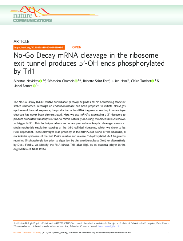 (PDF) No-Go Decay mRNA cleavage in the ribosome exit tunnel produces 5 ...