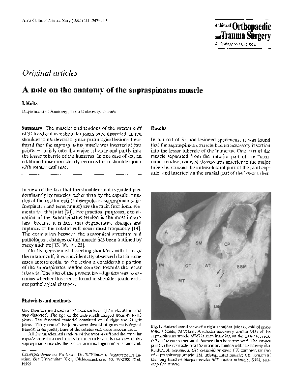 (PDF) A note on the anatomy of the supraspinatus muscle