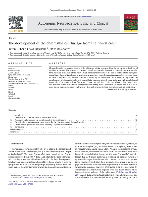 (PDF) The development of the chromaffin cell lineage from the neural crest