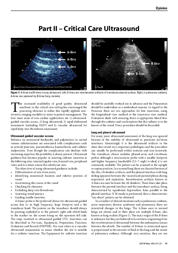 (PDF) Part II - Critical Care Ultrasound