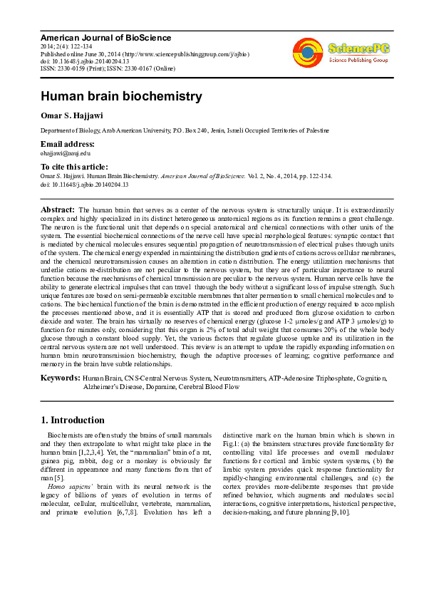 (PDF) Human Brain Biochemistry