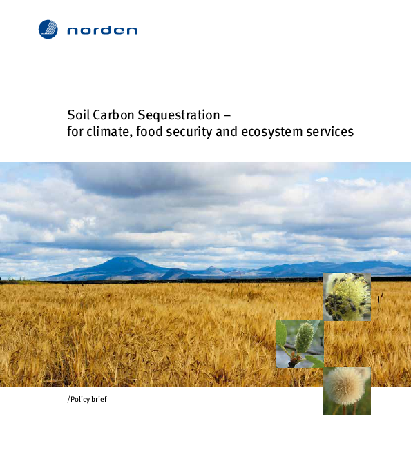 (PDF) Soil Carbon Sequestration – for climate, food security and ...