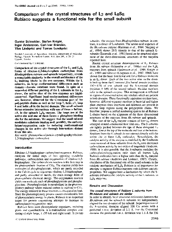 (PDF) Comparison of the crystal structures of L2 and L8S8 Rubisco ...