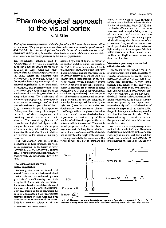(PDF) Pharmacological approach to the visual cortex | Adam Sillito ...