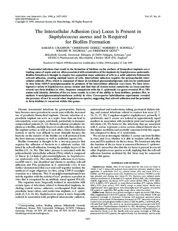 (PDF) The intercellular adhesion (ica) locus is present in ...