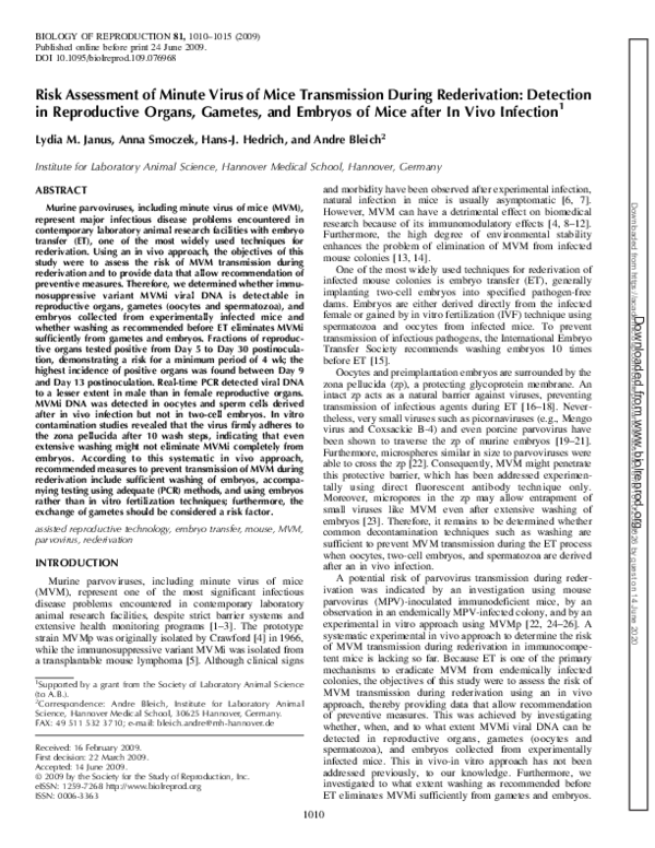(PDF) Risk Assessment of Minute Virus of Mice Transmission During ...