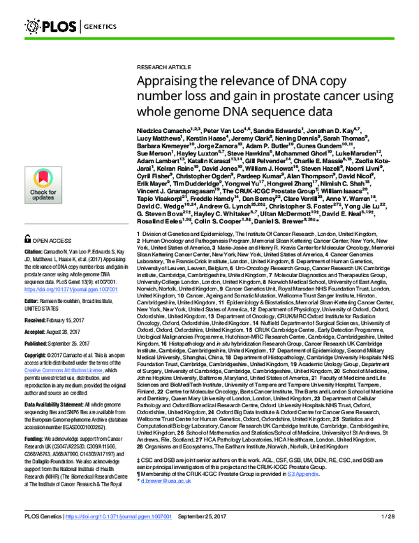 (PDF) Appraising the relevance of DNA copy number loss and gain in ...