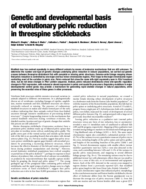 (PDF) Genetic and developmental basis of evolutionary pelvic reduction ...
