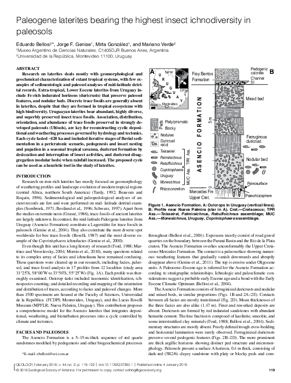 (PDF) Paleogene laterites bearing the highest insect ichnodiversity in ...