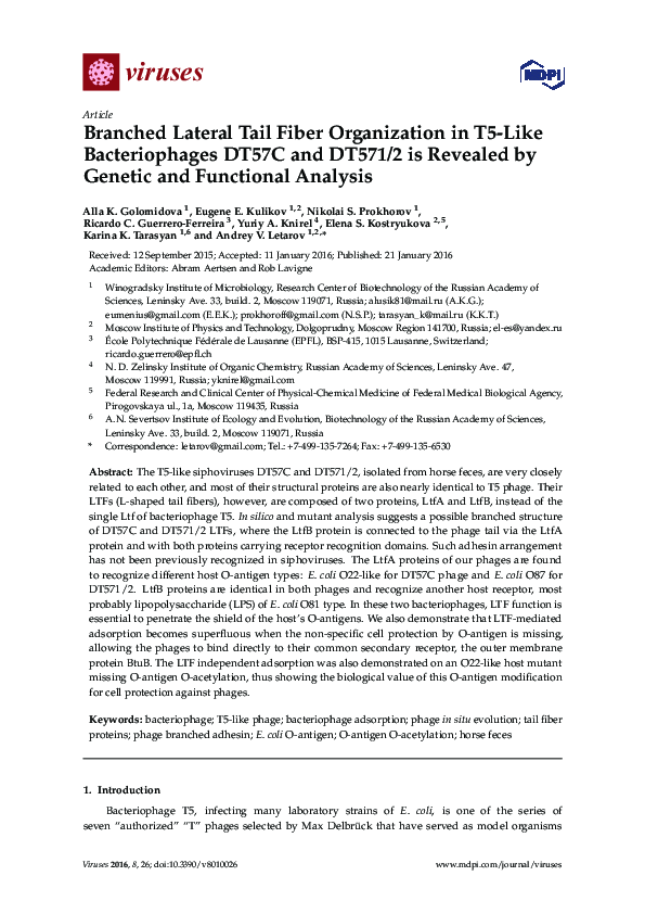 (PDF) Branched Lateral Tail Fiber Organization in T5-Like ...