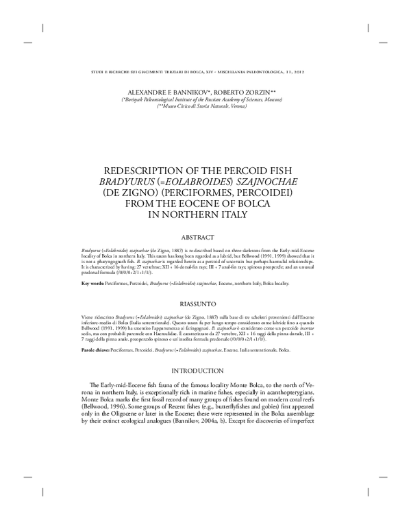 (PDF) Redescription of the percoid fish Bradyurus (=Eolabroides ...