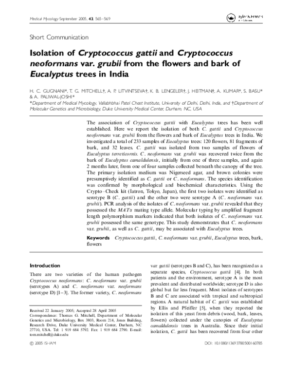 (PDF) Isolation of Cryptococcus gattii and Cryptococcus neoformans var ...
