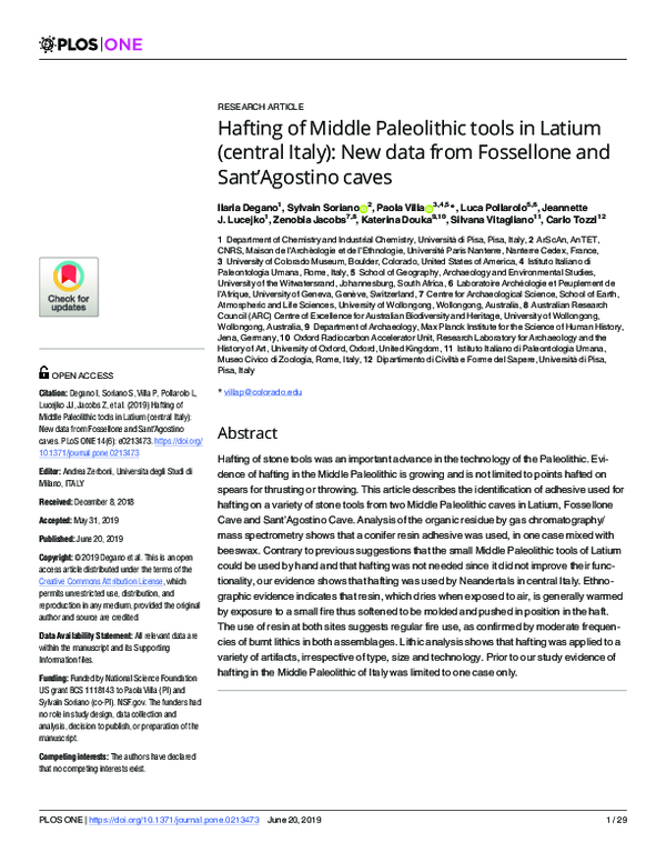 (PDF) Hafting of Middle Paleolithic tools in Latium (central Italy ...