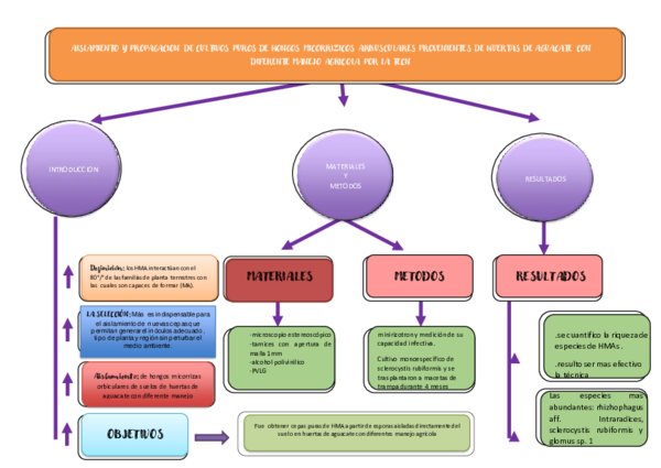 (PDF) Mapa conceptual de un articulo cientifico