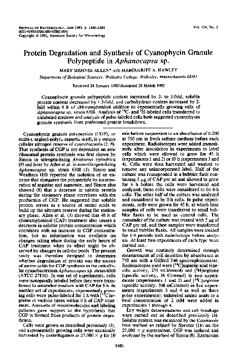 (PDF) Cyanophycin Polypeptide Synthesis from Protein Degradation in ...